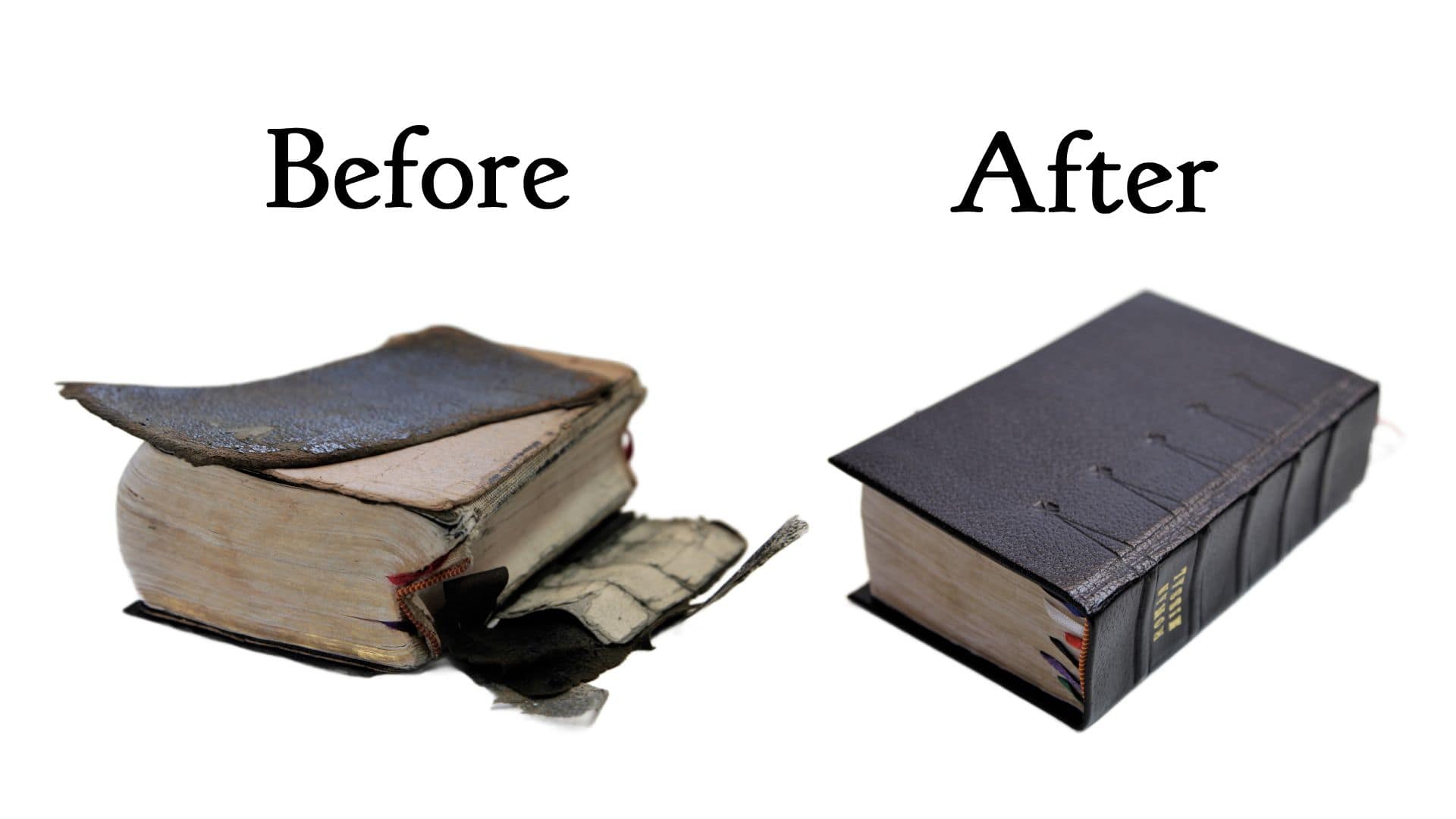 Book Repair & Restoration | Save Your Treasured Volumes